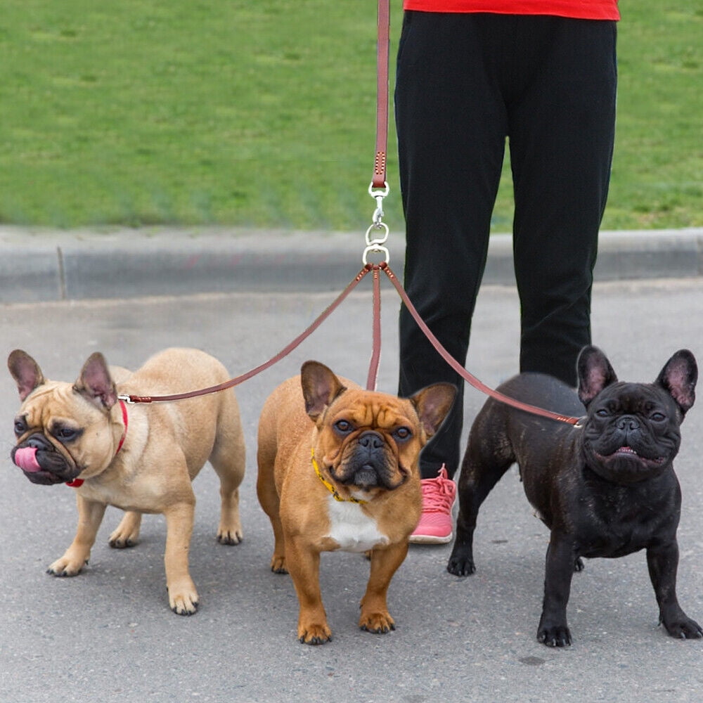 Pet Artist Genuine Leather Triple Dog Leash Couple 3 Way Pet Walking ...