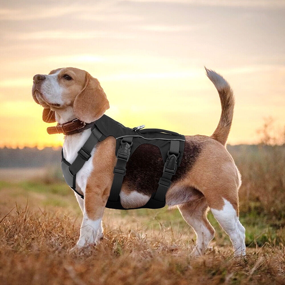 Pet Artist No Pull Dog Harness Escape Proof Reflective Adjustable Sport ...
