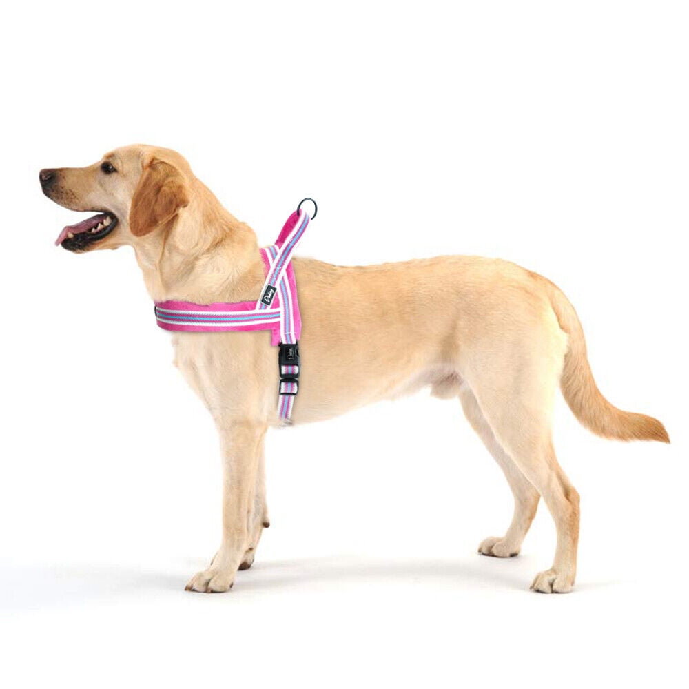 Pet Artist No Pull Quick Fit Front Leading Stripe Pet Dog Harness ...
