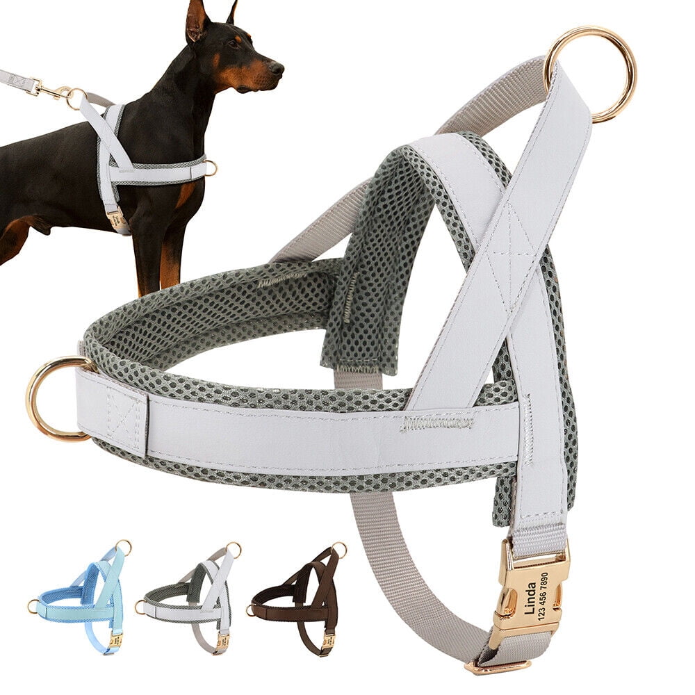 Pet Artist Personalized Dog Harness with Name ID Front Leading No Pull ...