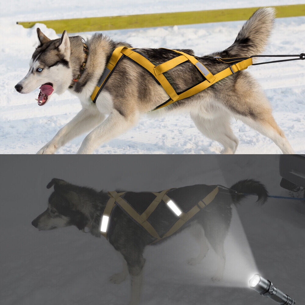 Pet Artist Pet Dog Weight Pulling Harness Reflective Training Sledding ...