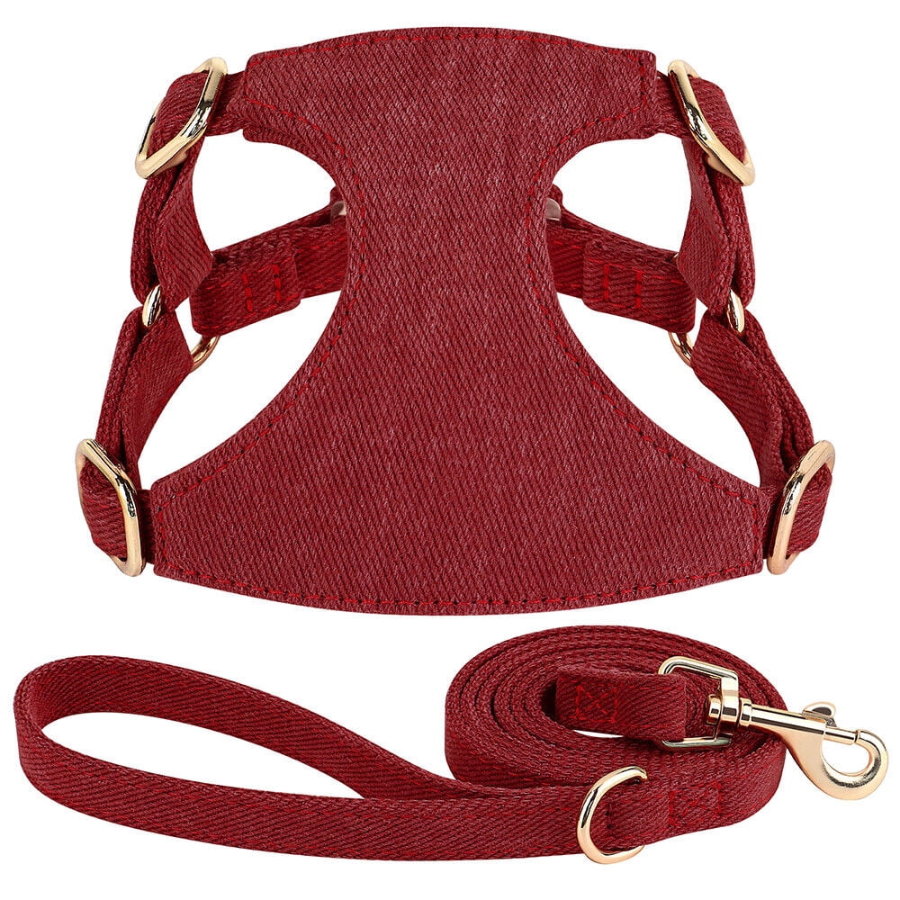 Pet Artist Step In Dog Harness and Walking Leash set Adjustable Pet ...