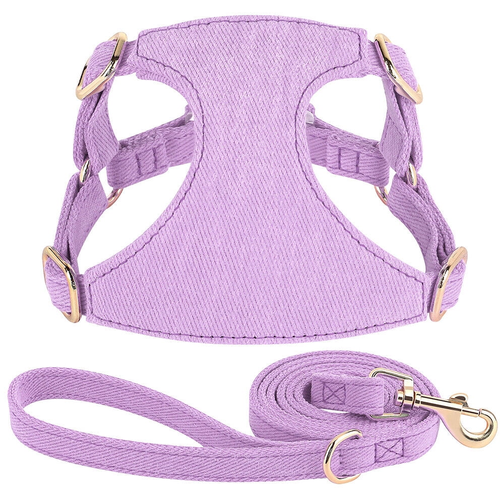 Pet Artist Step In Dog Harness and Walking Leash set Adjustable Pet ...