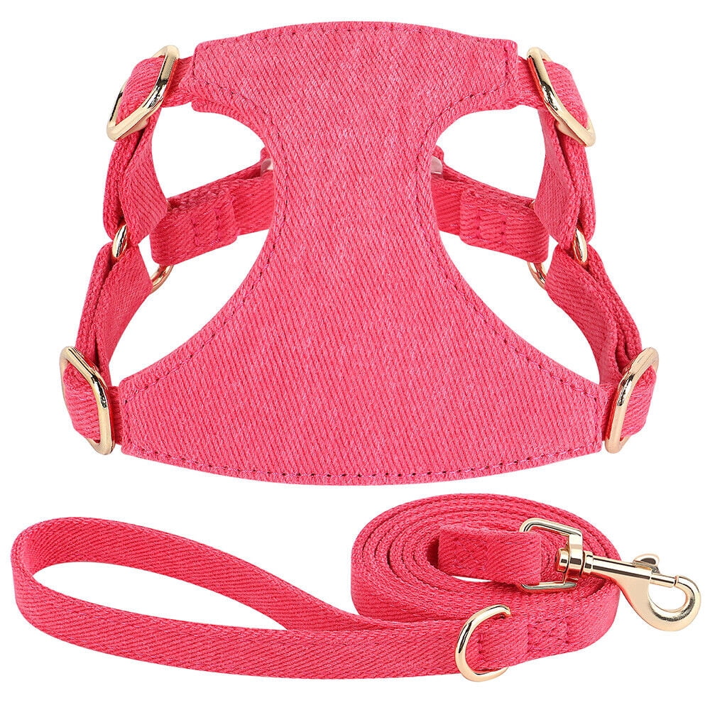 Pet Artist Step In Dog Harness and Walking Leash set Adjustable Pet ...
