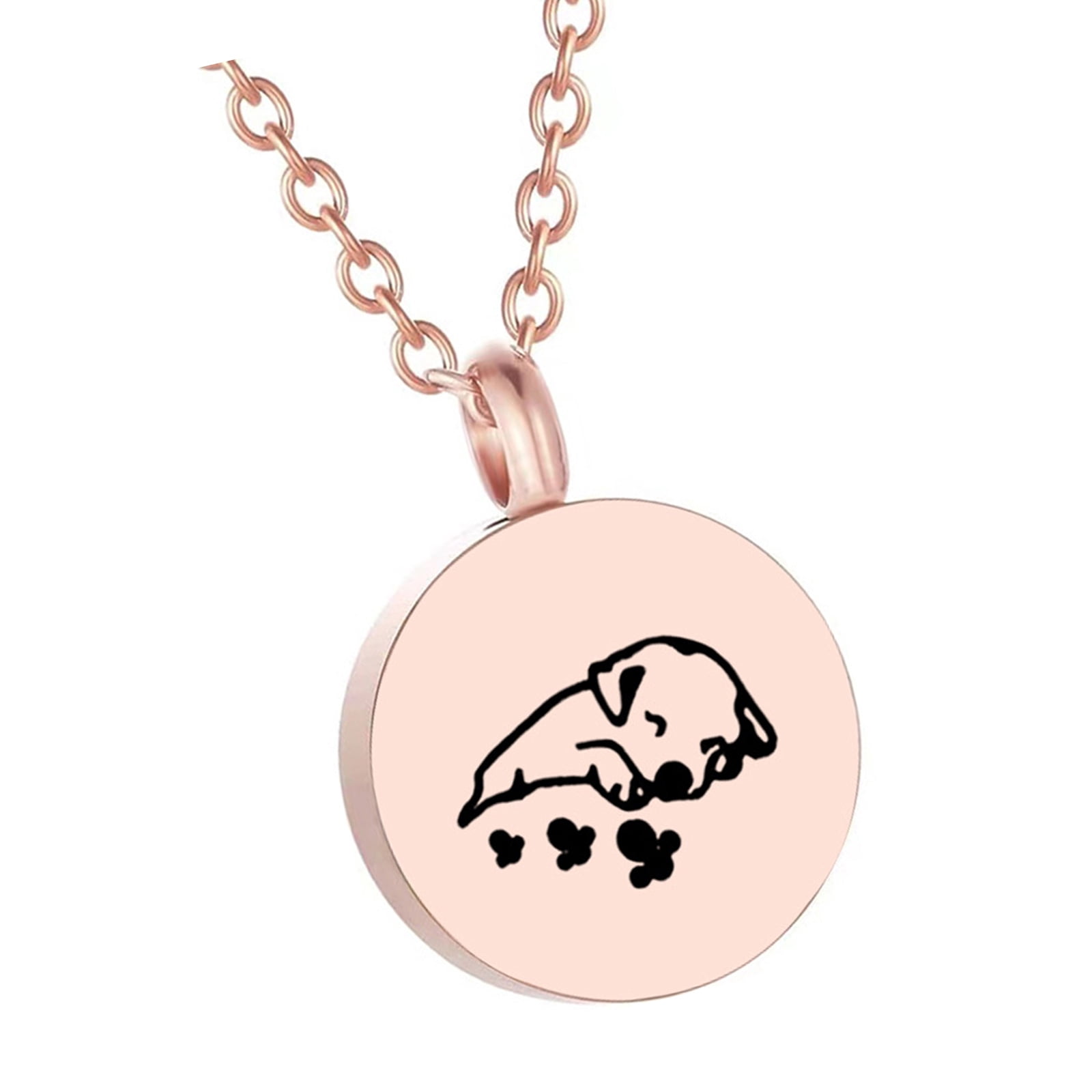 Pet Ashes Necklace Locket Necklace for Pet Mom Locket for Ashes/Hair ...