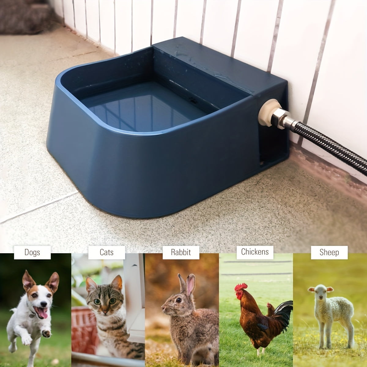 dianleiwang Automatic Pet Water Dispenser, Gravity Water Bowl for Dogs ...