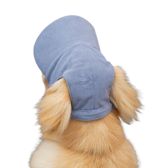No Flap Ear Wraps For Dogs
