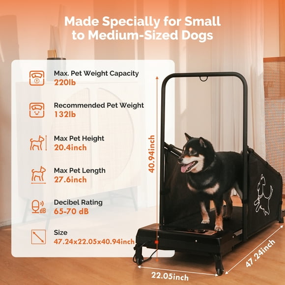 Dog Treadmills in Dogs - Walmart.com