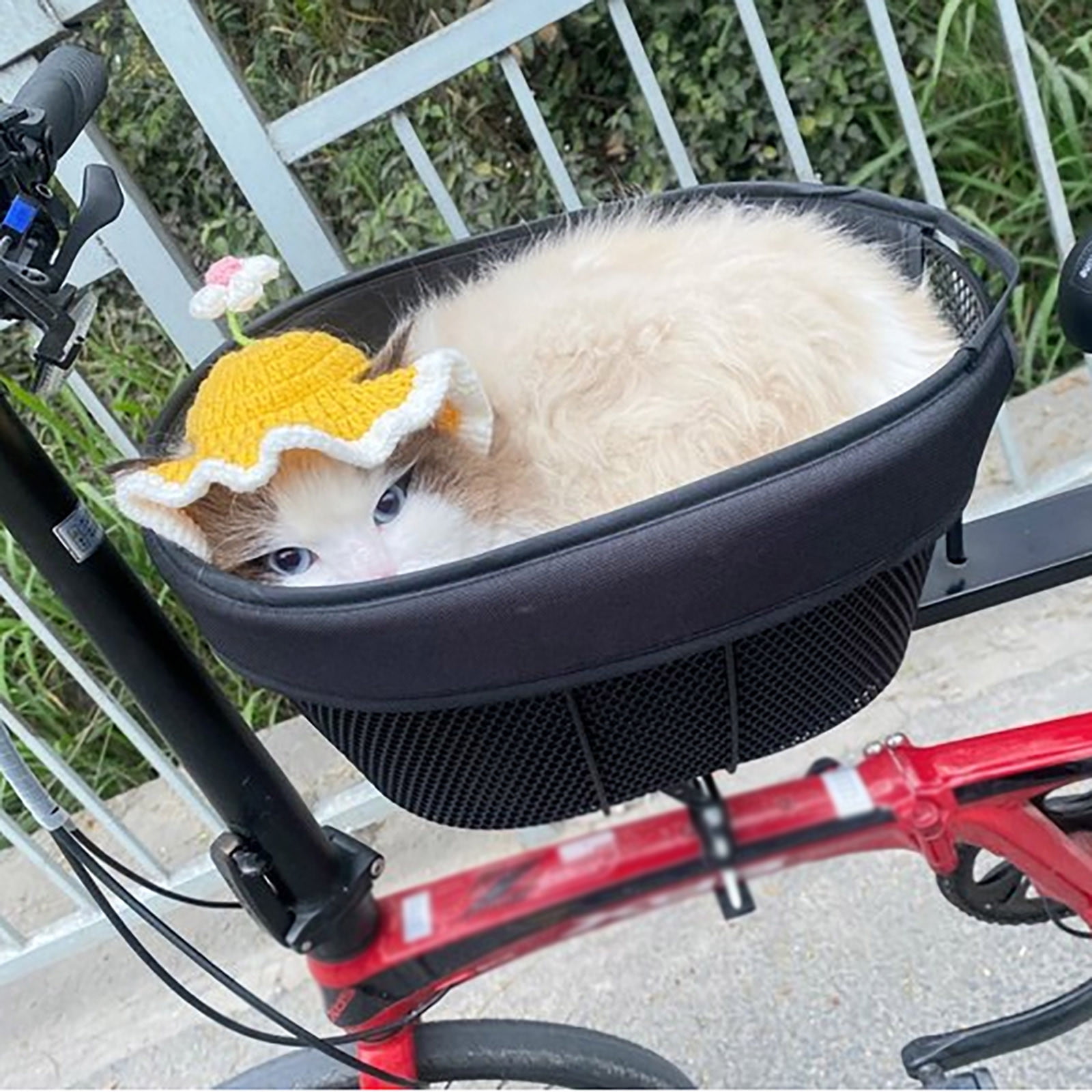 Pet Bike Basket for Small Dogs & Cats - Handlebar Mounted Front Carrier ...