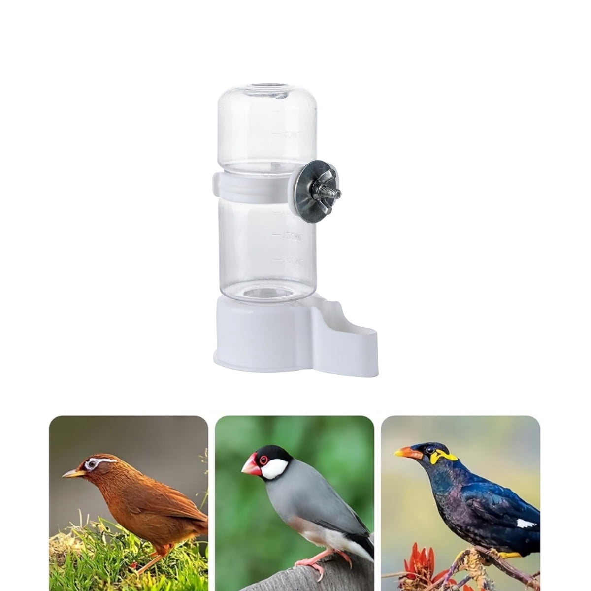 Pet Bird Automatic Water Dispenser,QZS Automatic Parrot Water Feeder ...
