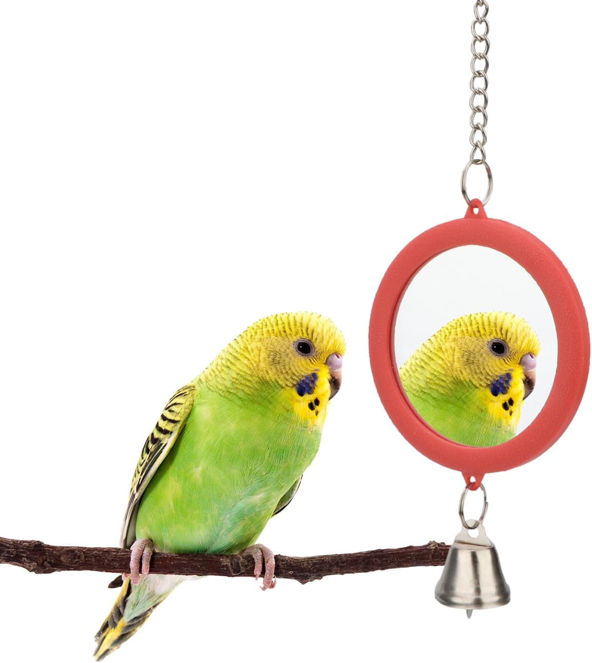 Pet Bird Mirror with Bell Interactive Parrot Toy Bird Cage Mirror for ...