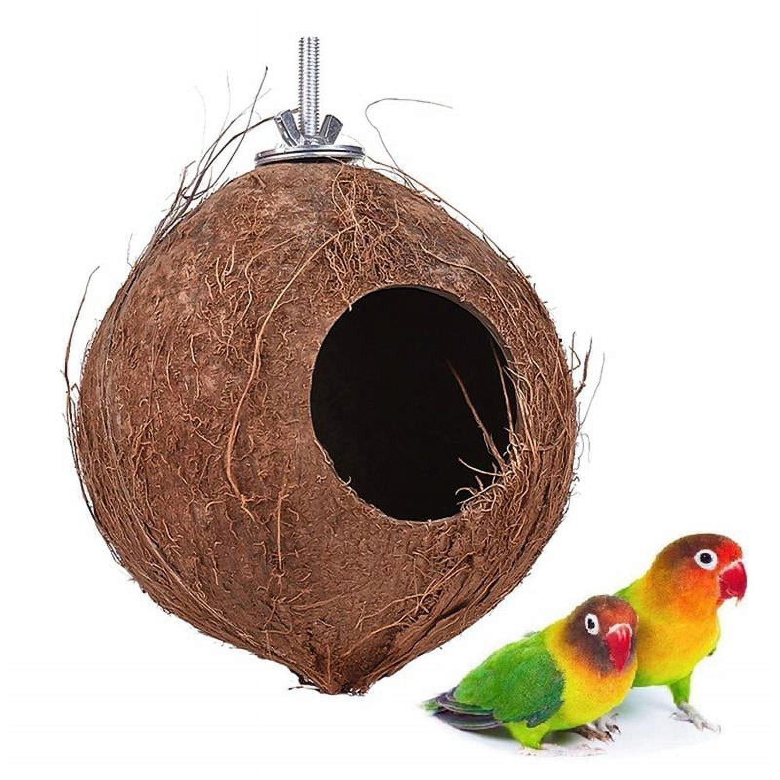 Pet Bird Natural Coconut Shell Bird House Parakeet Budgie Cockatiel ...