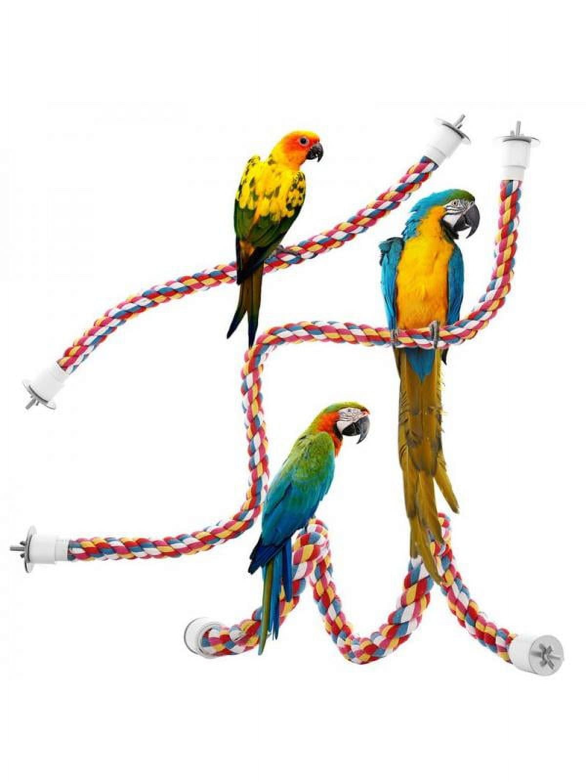 Pet Bird Rope Perches Cage Comfy Perch Parrot Cotton Bungee Toy ...