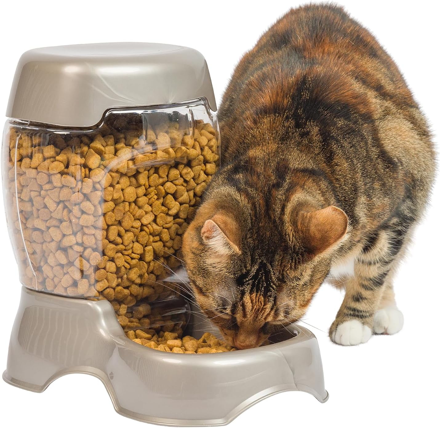 Pet Cafe Feeder Dog and Cat Feeder Pearlescent Colors 3 Sizes, Made in ...