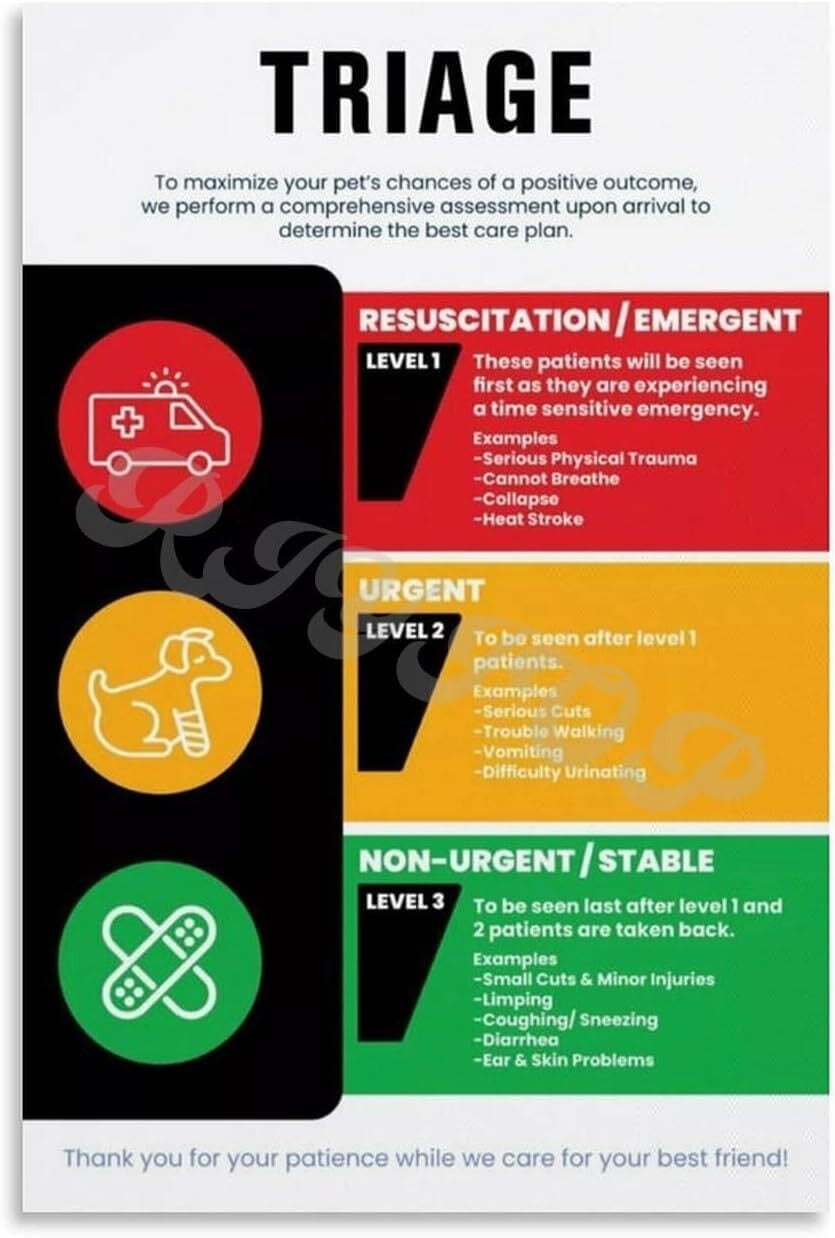 Pet Care Triage Poster Animal First Aid Grade Guide Educational ...