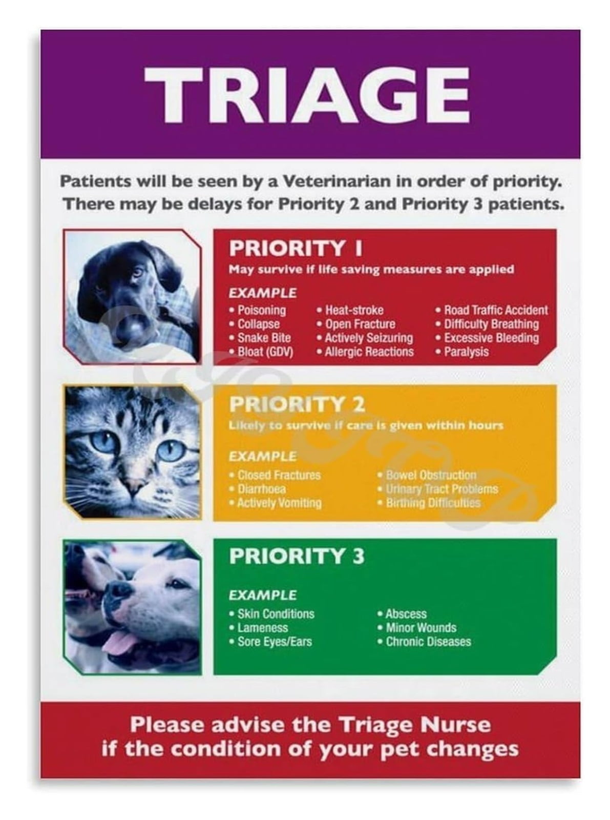 Pet Care Triage Poster Animal First Aid Grade Guide Veterinary Wall ...