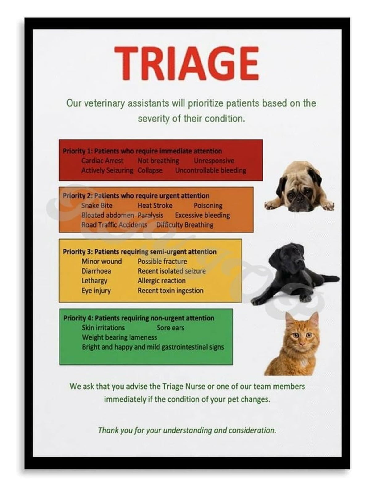 Pet Care Triage Poster Animal First Aid Grade Guide Wall Art for ...