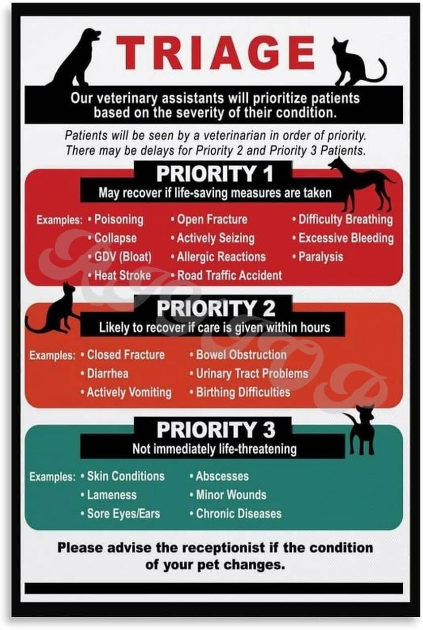 Pet Care Triage Poster Animal First Aid Grade Guide Wall Art for Home ...