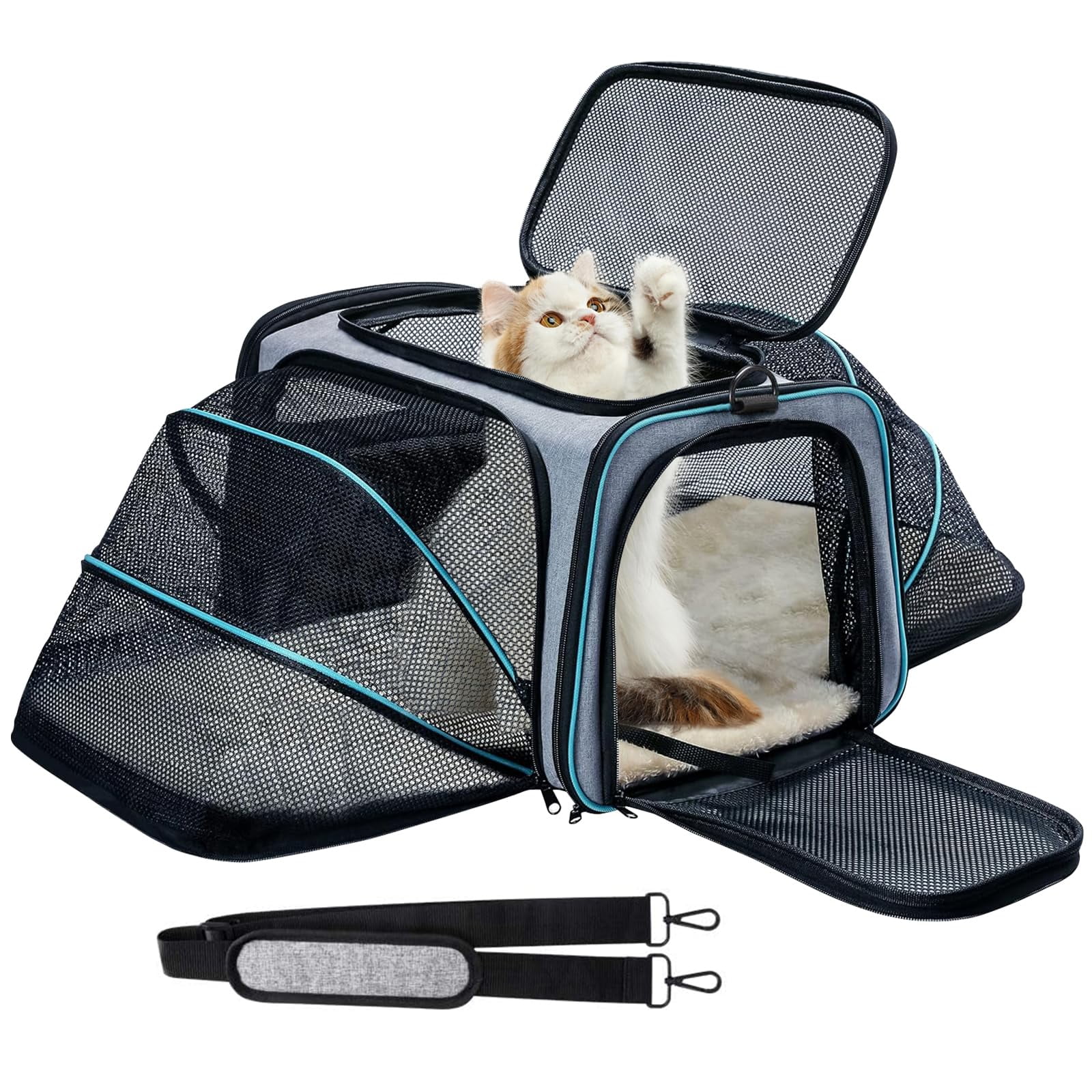 Pet Carrier Airline Approved, Expandable Foldable Soft-Sided Dog ...