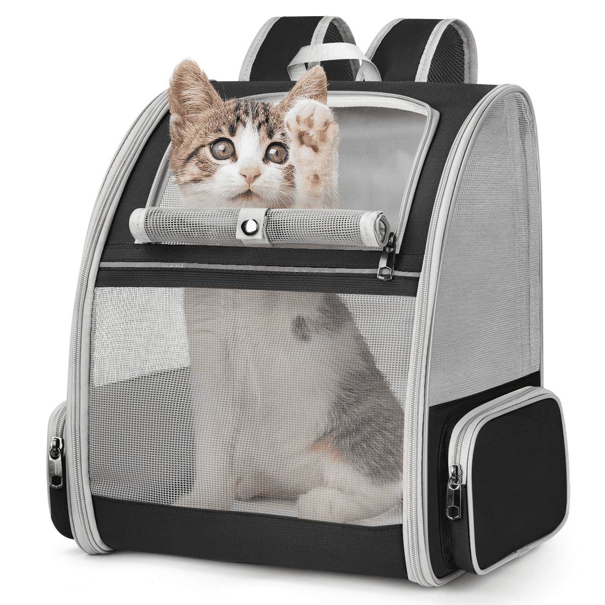 Airline-Approved Pet Carrier Backpack, Small Cats/Dogs, Safety Leash ...