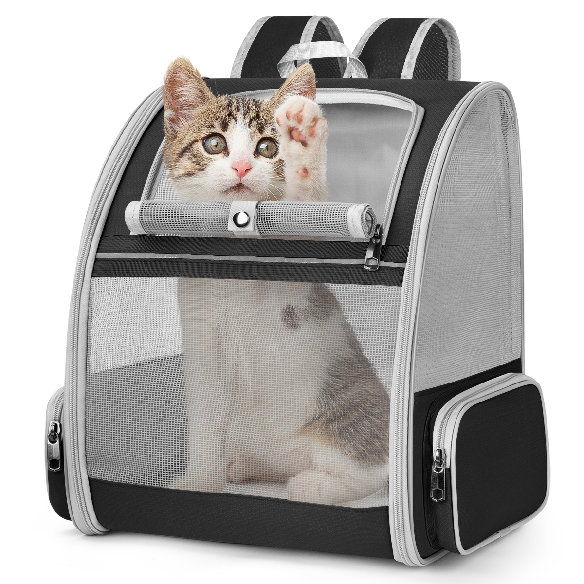 Back Extension Cat Backpack, Space Capsule Transparent Bubble ...