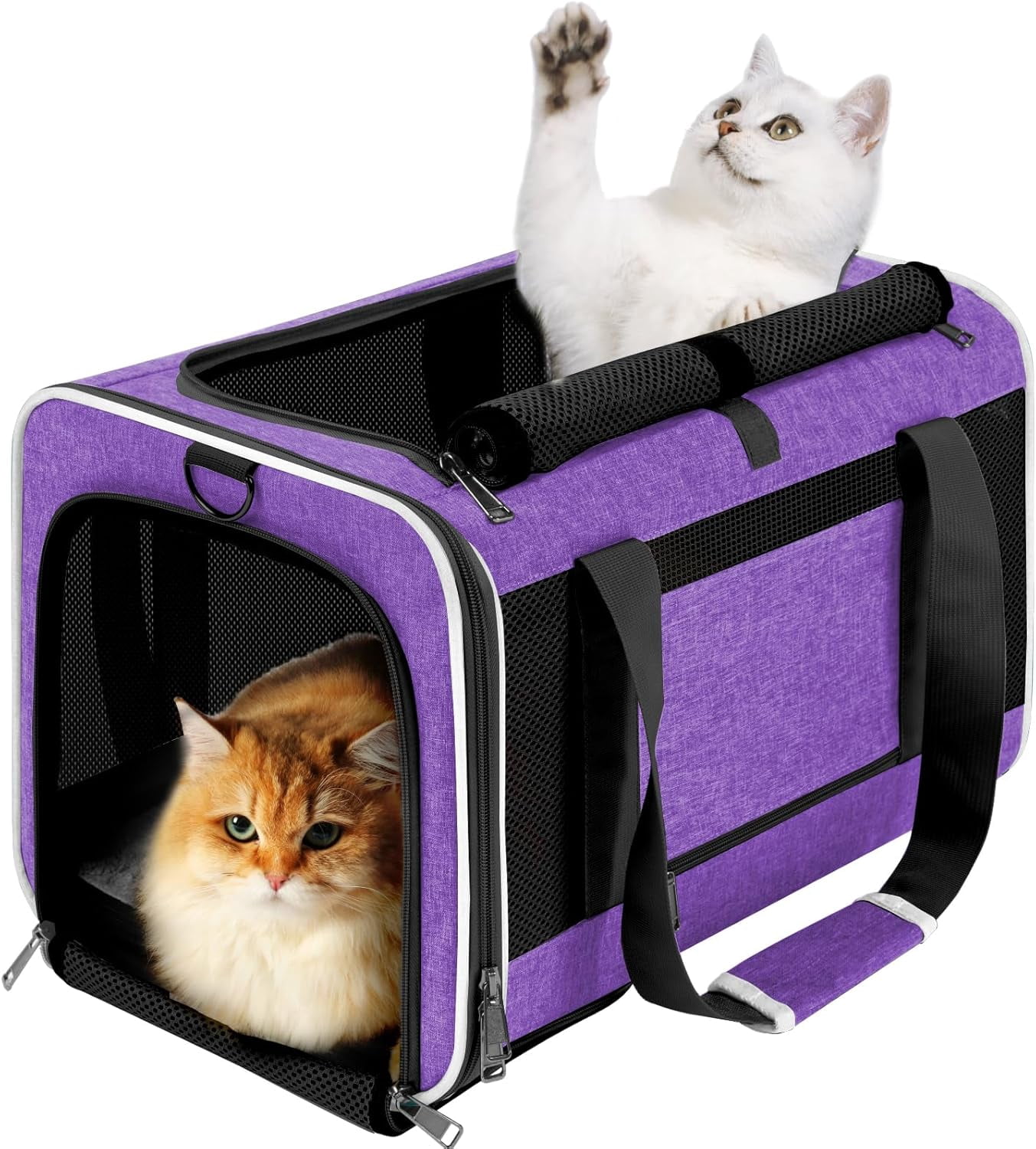 Pet Carrier for Large Cats 20 lbs+ / Soft Sided Small Dog Travel ...