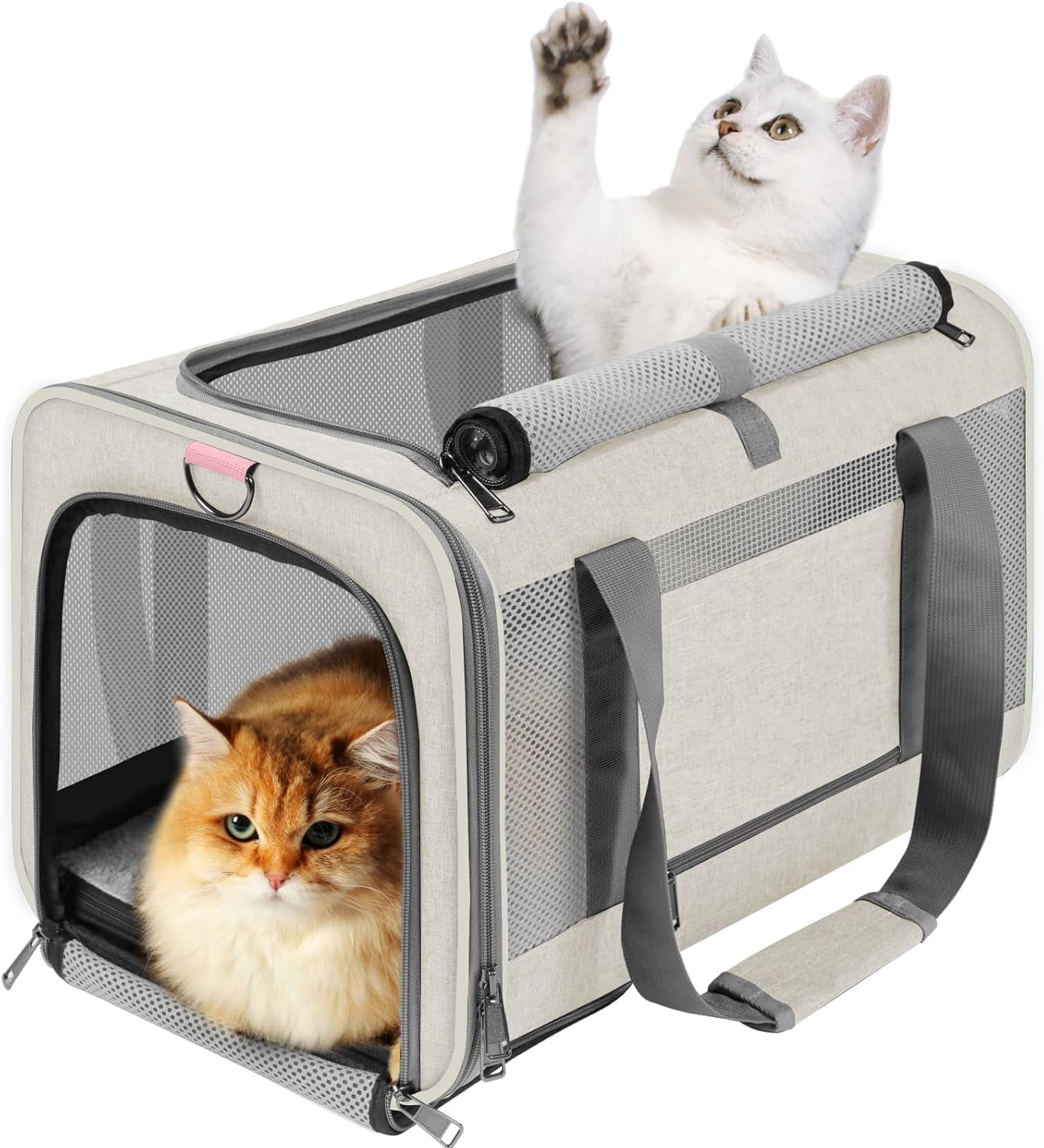 Pet Carrier for Large Cats 20 lbs+ / Soft Sided Small Dog Travel ...
