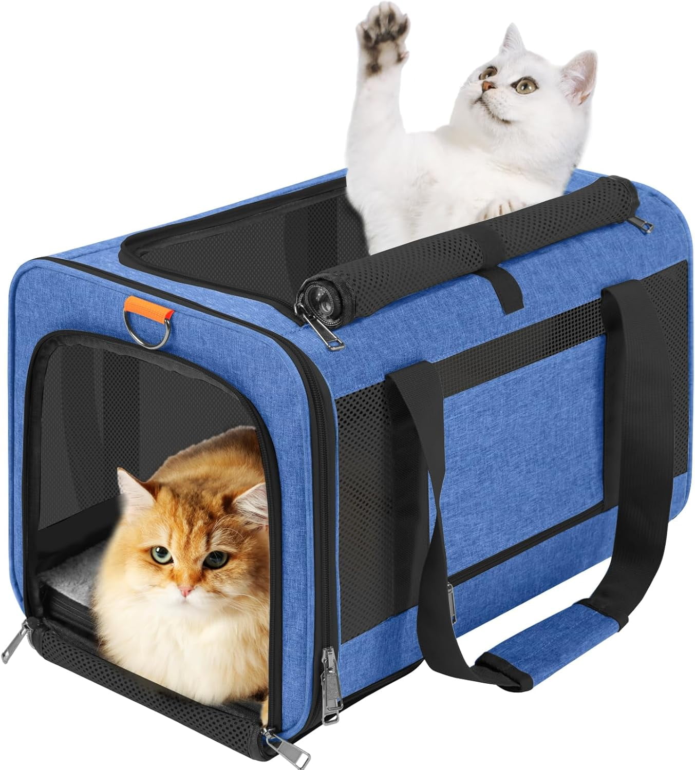 Pet Carrier Large Cats 20 lbs Top Load/Soft Sided Small Dog Travel ...