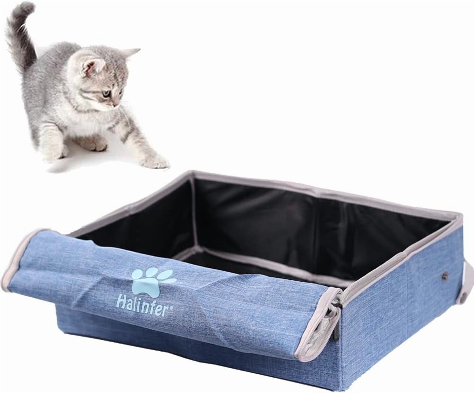 Pet Carrier for Large Cats and Small Dog, Fits up to 20 pounds Fat Cat ...