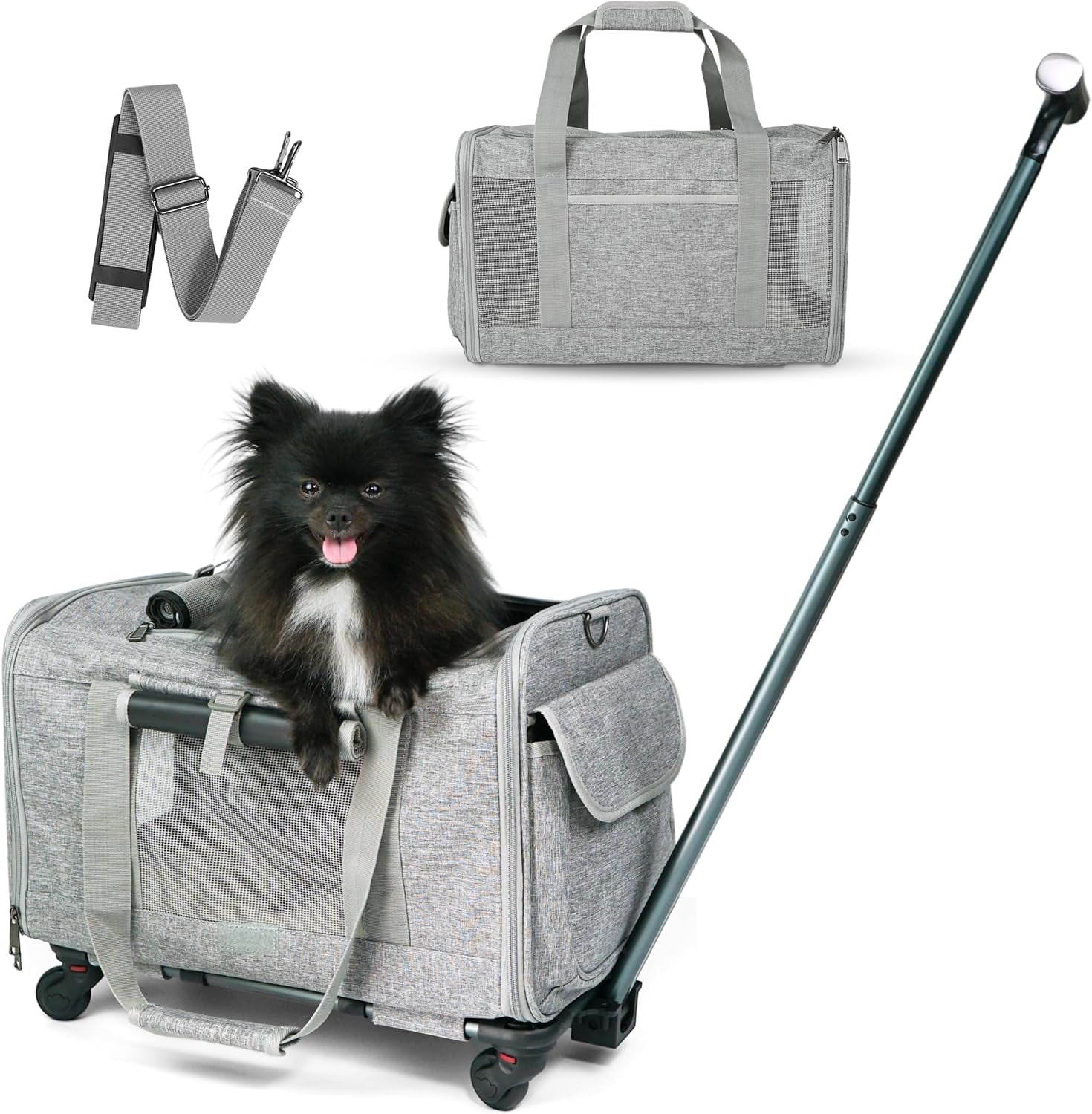 Pet Carrier With Wheels for Dogs Up To 15lbs – Airline Approved Dog ...