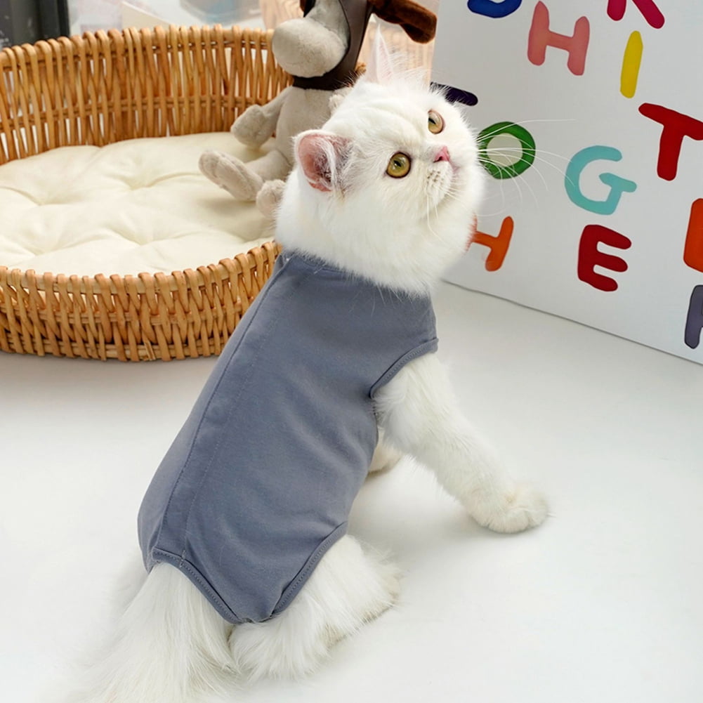 Pet Cat Anti-Licking And Anti-Harassment Suit After Surgery, Dog ...