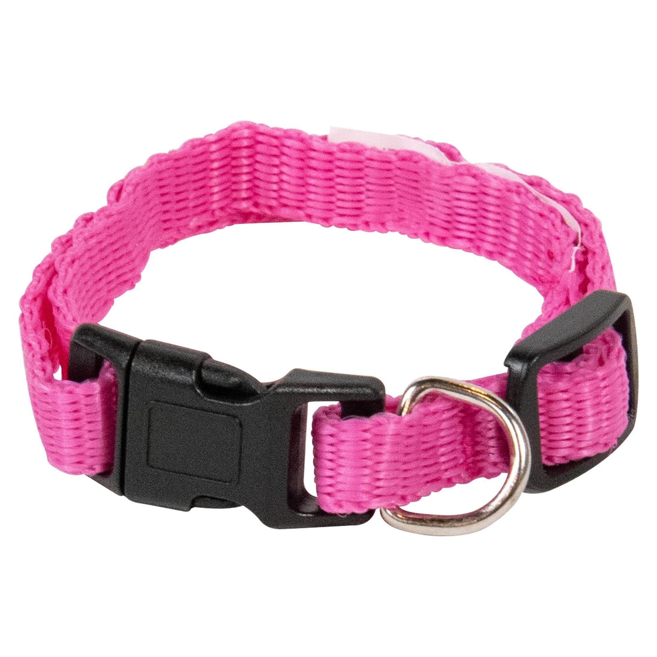 Pet Champion Small Pink Dog Collar Adjustable 8 to 12 Inches ...