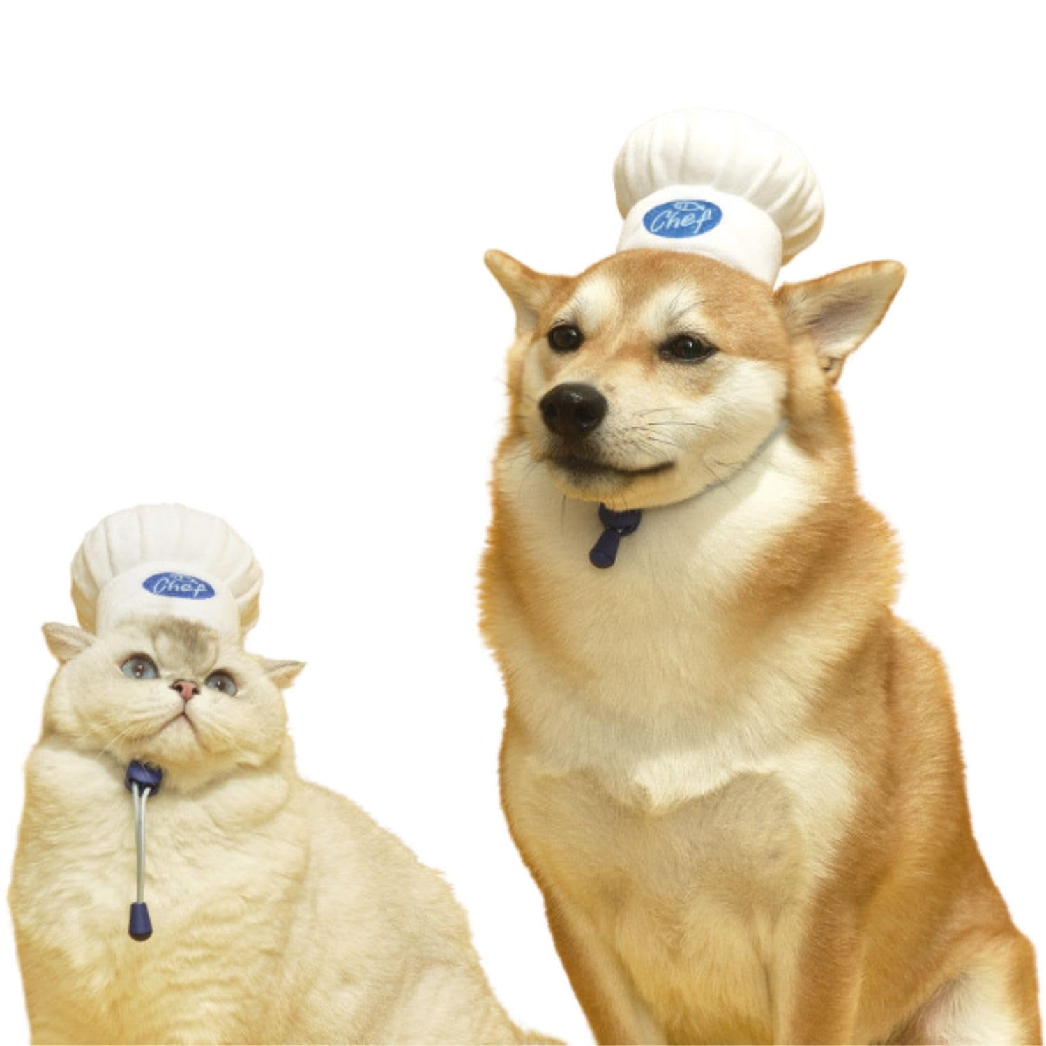 Pet Chef Hat,Cat Halloween Costumes Hat, Dog Cooking Chef Cap,Pet ...