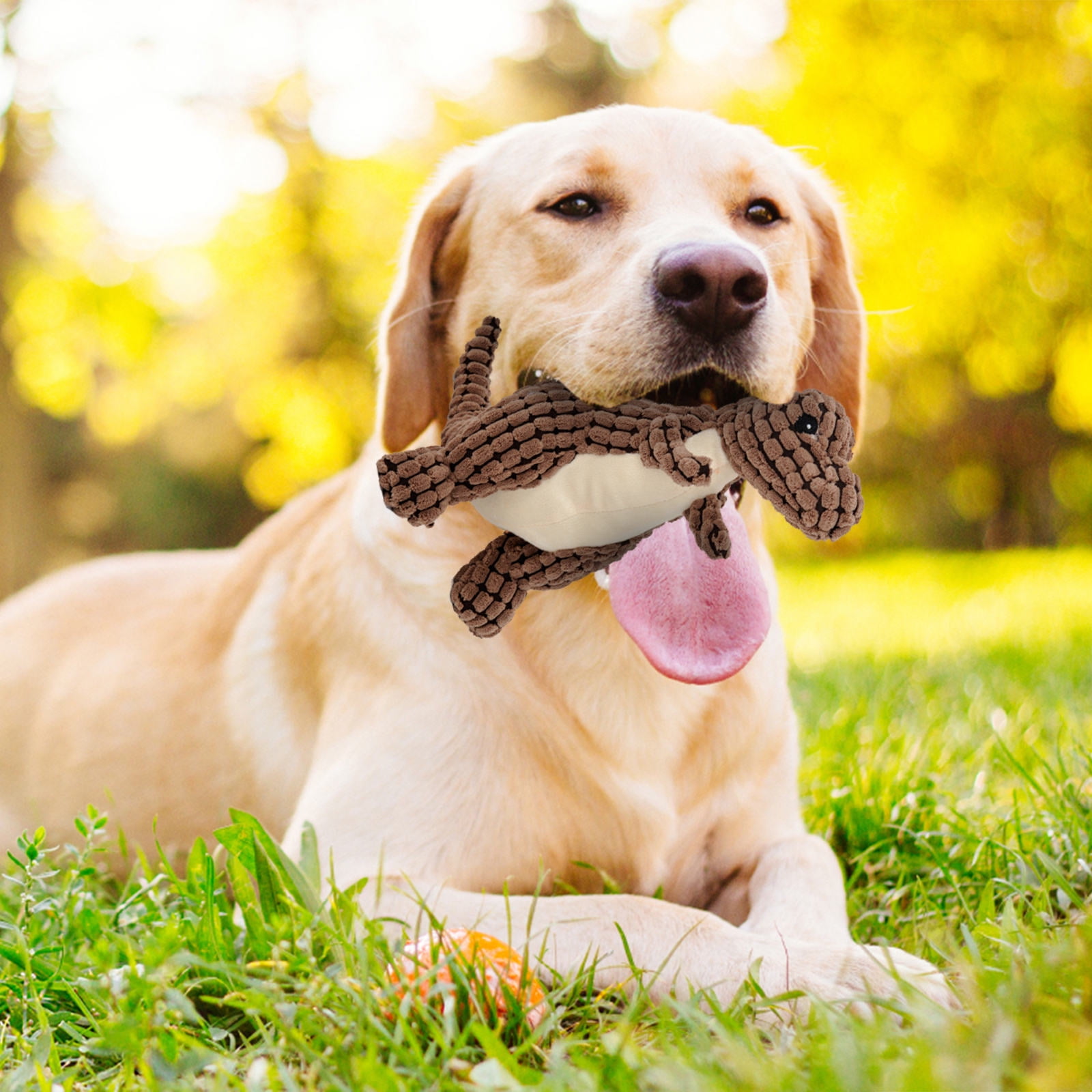 Pet Chew Toys Animal Play Squeak Toys Puppy Toy Donkey Chew Squeak ...