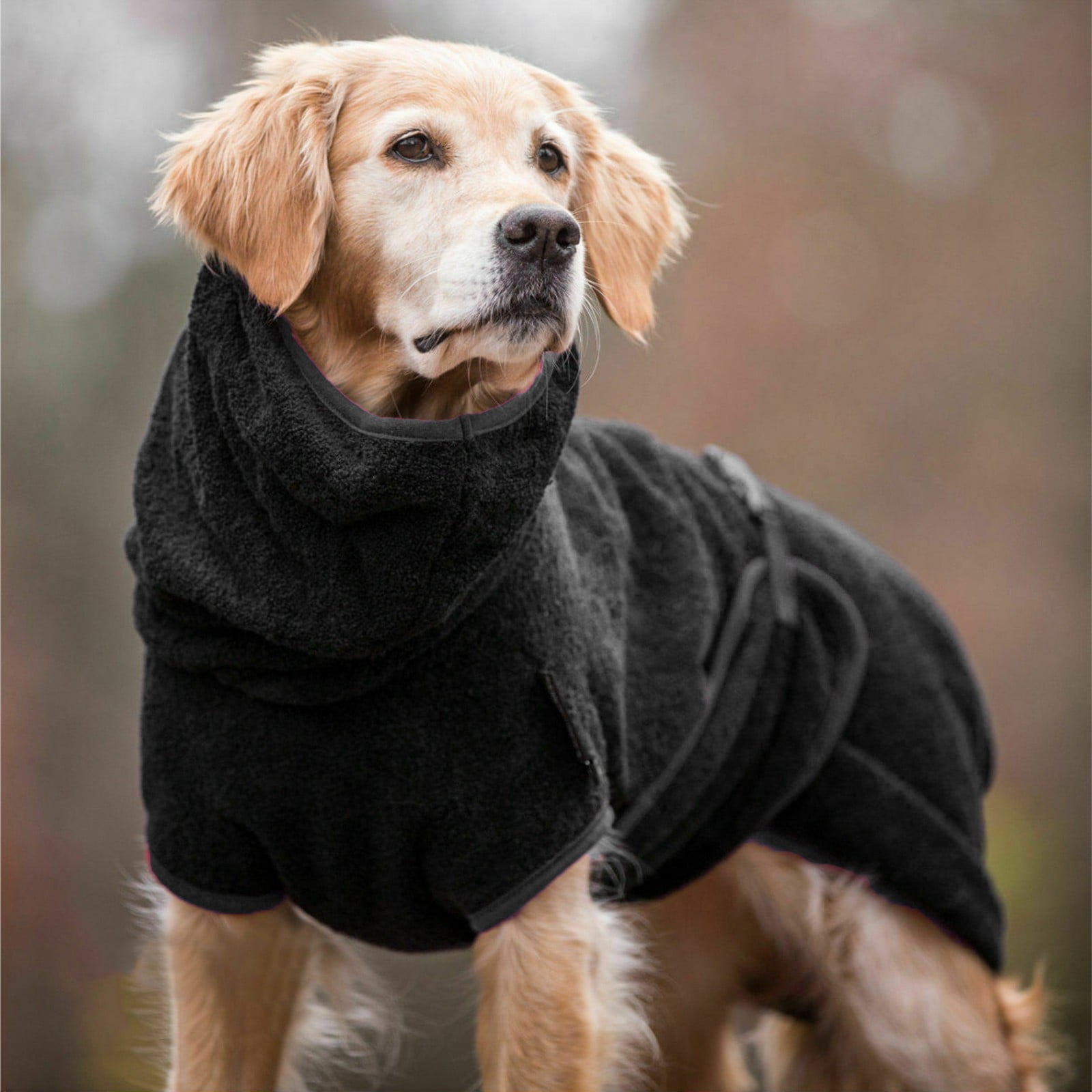 Pet Clearance Sale and Winter Cute Pet Clothes Pet Dog Thick Warm ...