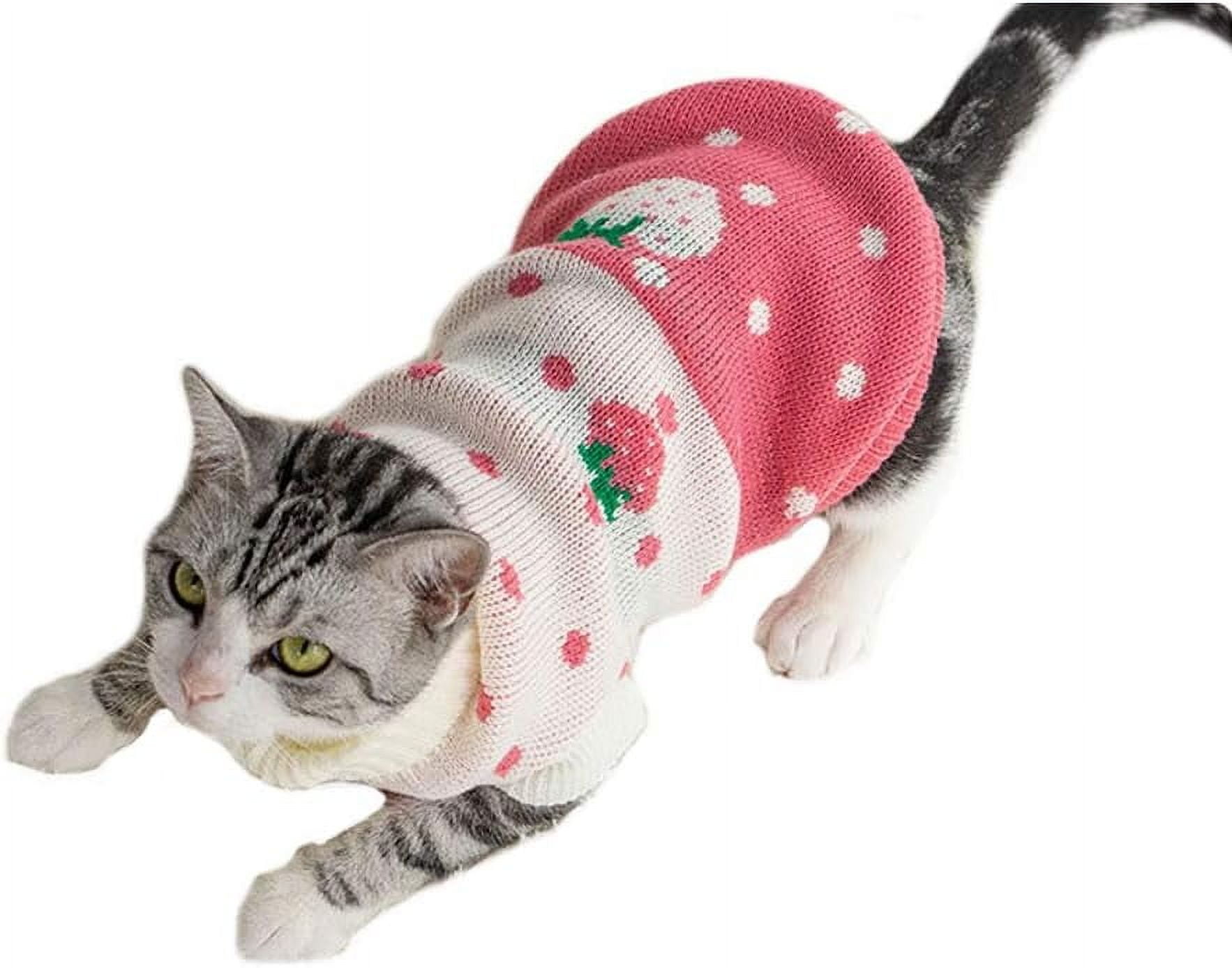 Pet Clothes, Cat Sweater Winter Warm Puppy Clothes Strawberry Knitwear ...
