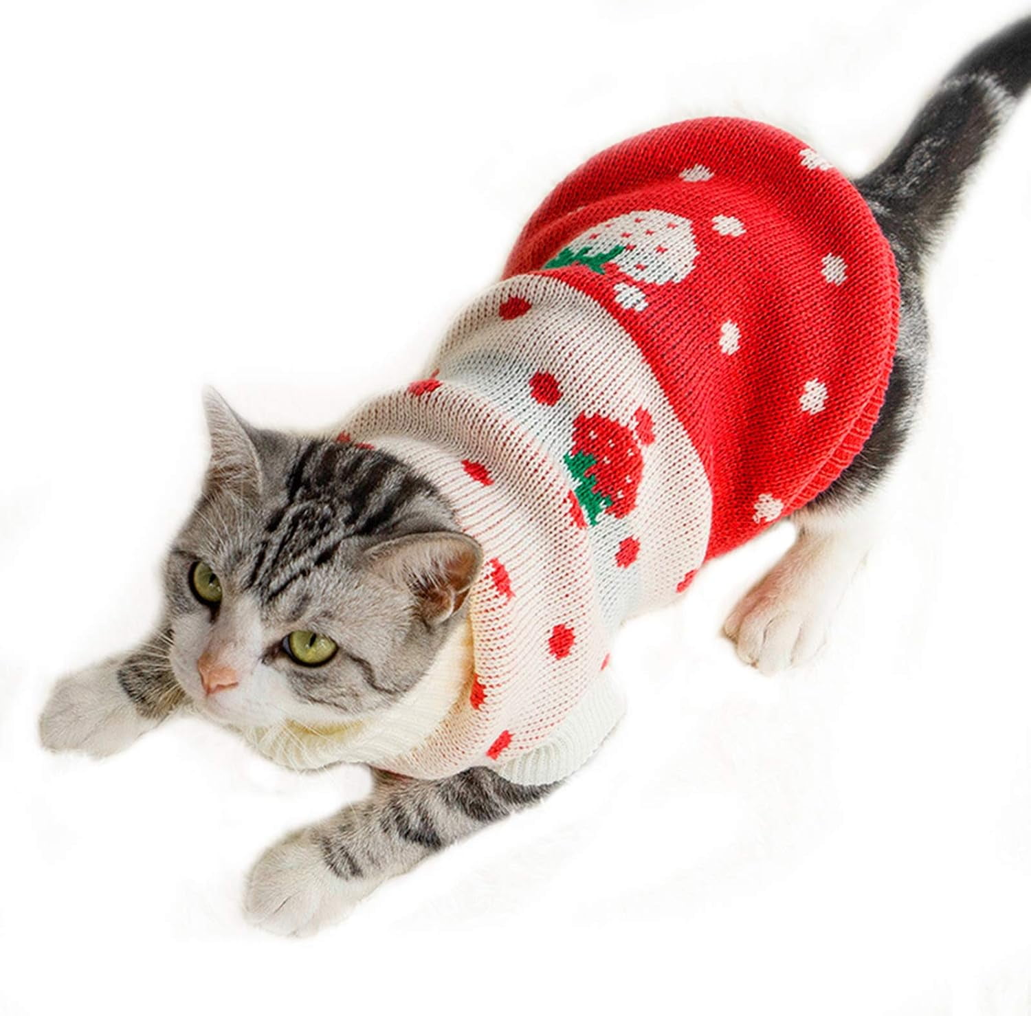 Pet Clothes, Cat Sweater Winter Warm Puppy Clothes Strawberry Knitwear ...