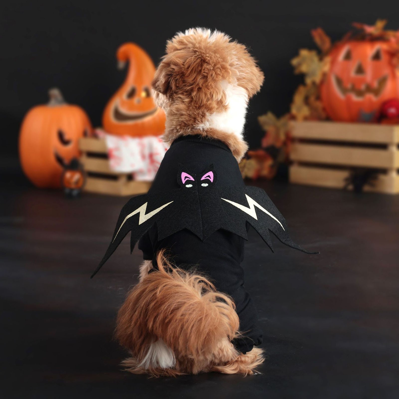 Pet Clothes Pet Clothes for Medium Dogs Male Pet Clothes Hangers Small ...