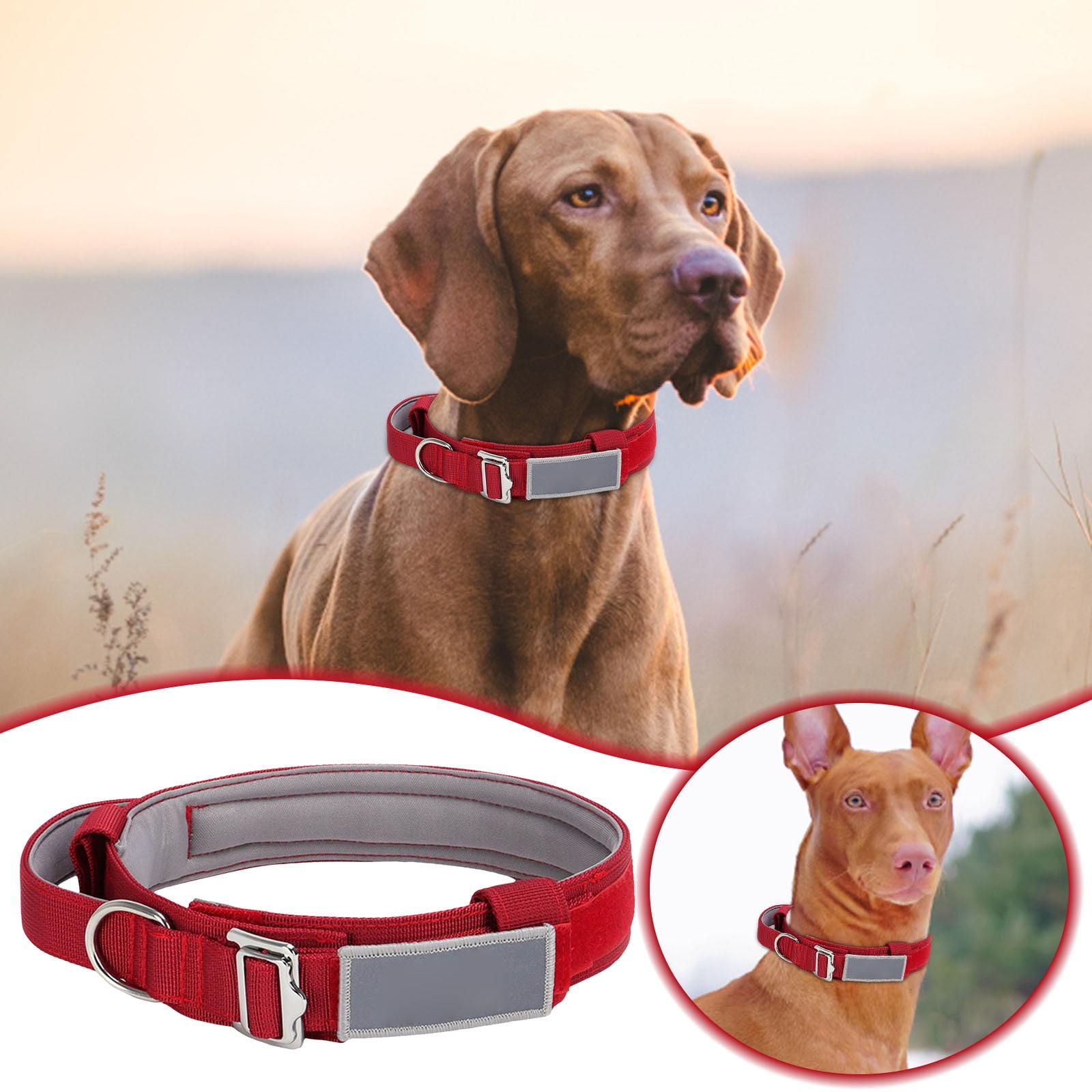 Pet CollarsCollar Cursor Lightweight Pet Dog Collar Explosion Proof ...