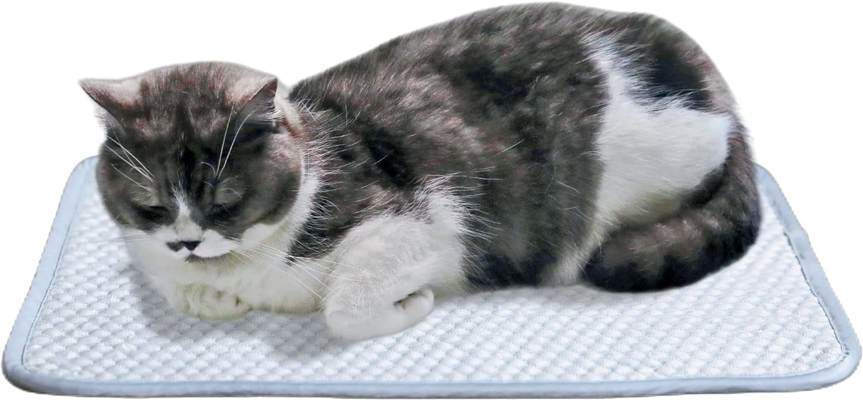 Pet Cooling Mat, Chew & Scratch Resistant QMAX>0.5 for Mini Dogs & Cats ...