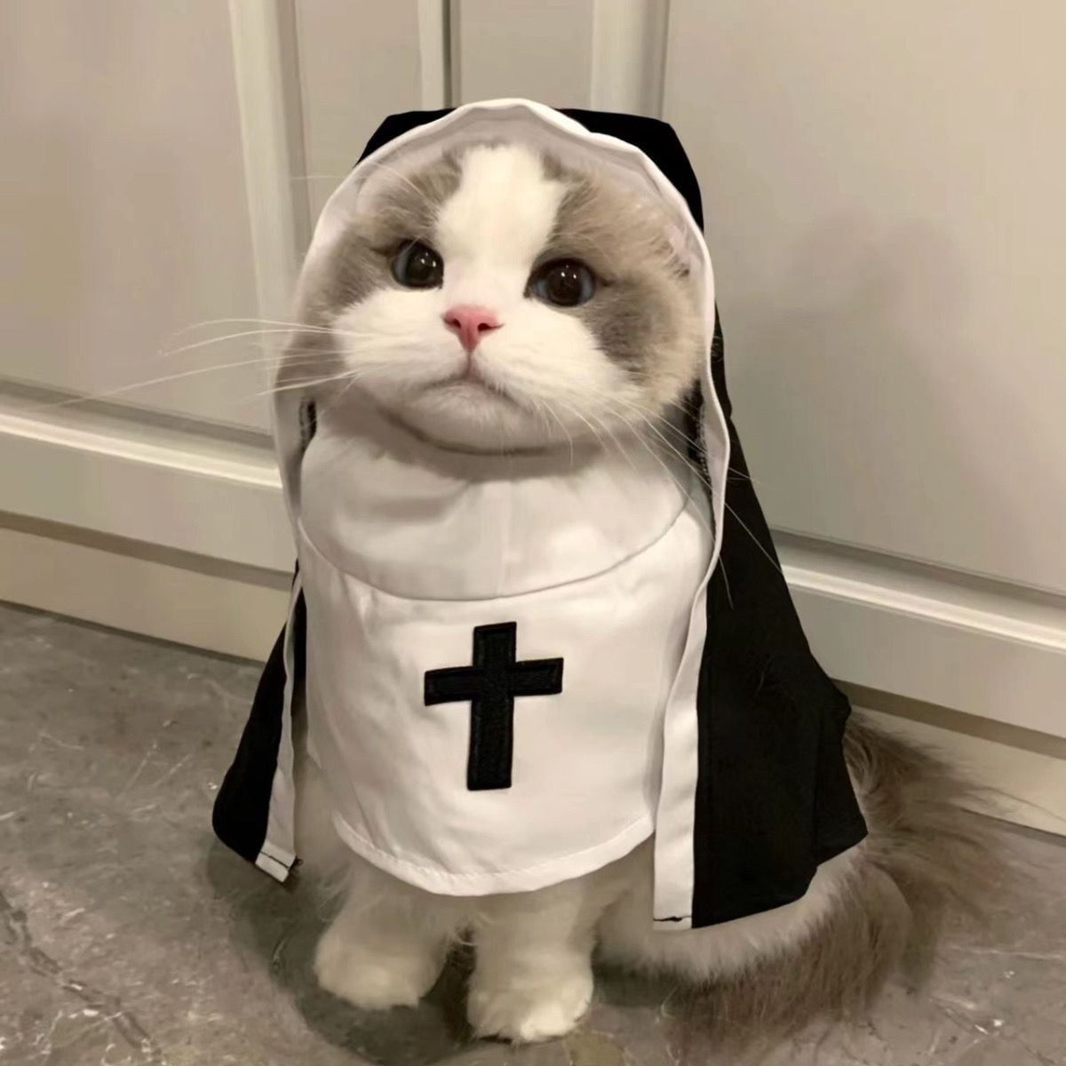Pet Costume Nun Style Contrast Color Dress Up Cosplay Halloween Dog ...