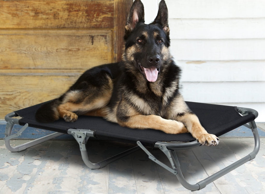 Pet Cot Large Black - Walmart.com