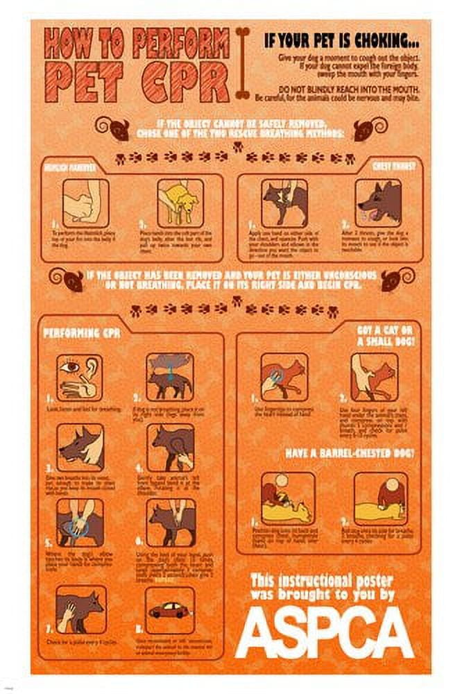 Pet Cpr Instructional Poster Unique Educational Animal-Friendly 24" x 0 ...