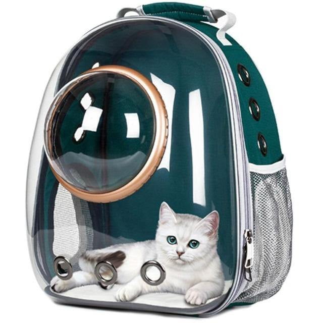 Clearance Pet Daily Kit Pet Backpacks with Transparent Space Capsule ...
