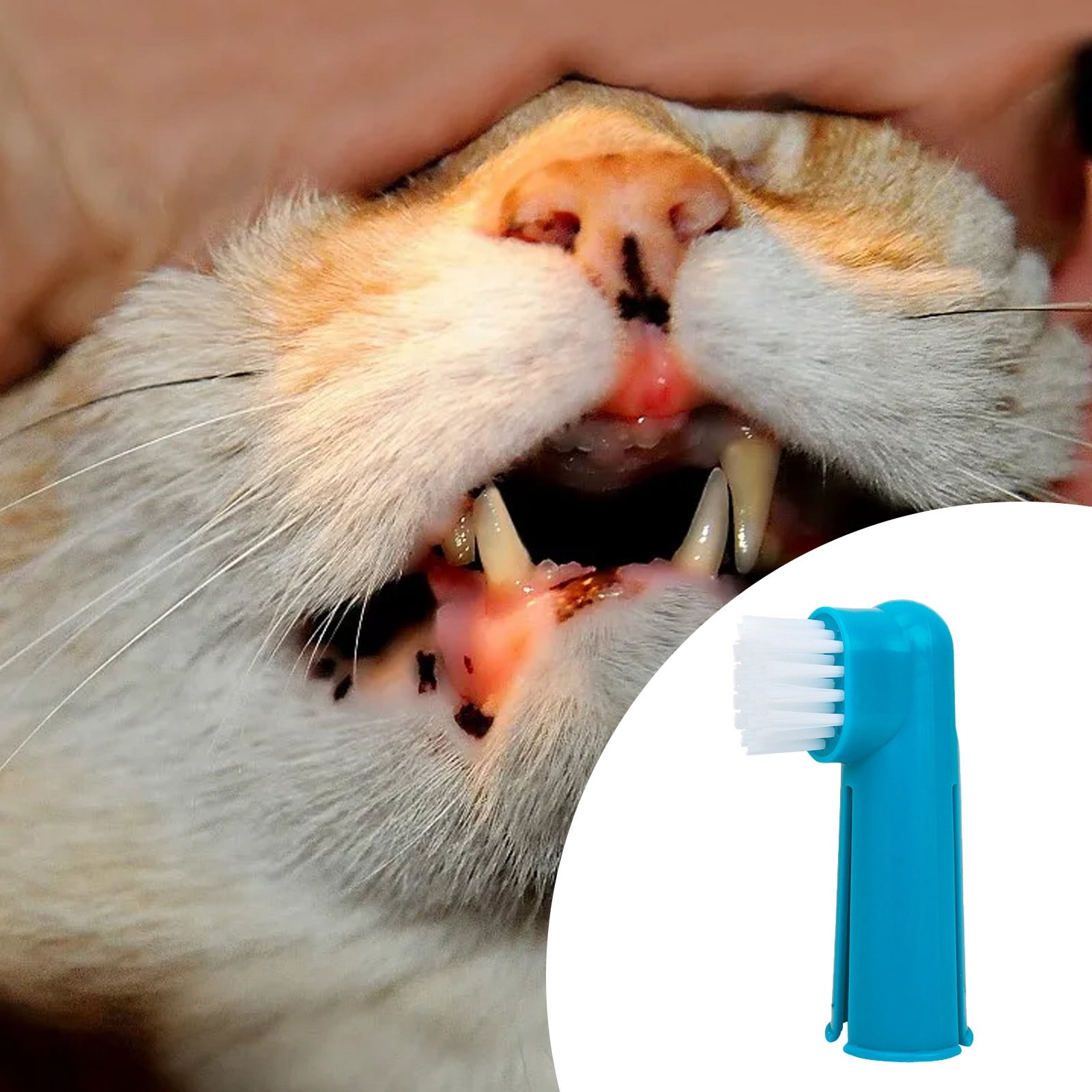 Pet Dental Care Finger Toothbrush - Soft Nylon Dog & Cat Toothbrush for ...