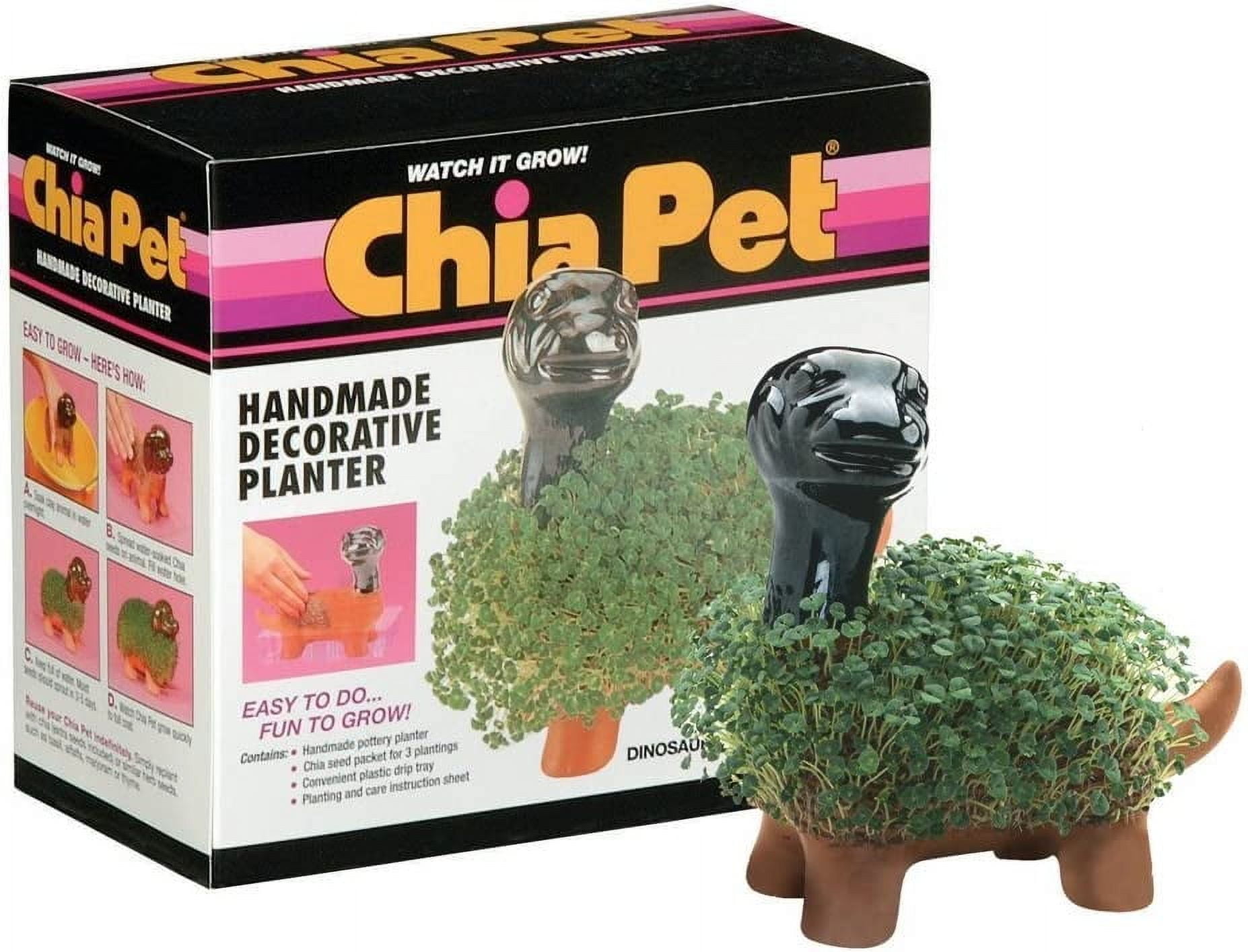 Pet Dinosaur Collectable with Seed Pack, Decorative Pottery Planter ...