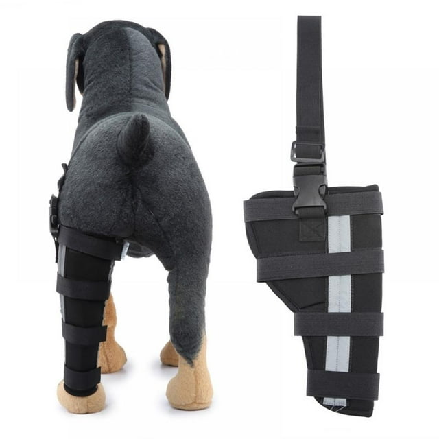 Pet Dog Hind Legs Protector, Adjustable Knee Brace Leg Support Dog Hock ...