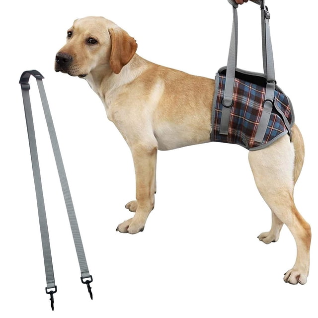 Pet Dog Leg Support Sling Adjustable Retractable Breathable Lift ...