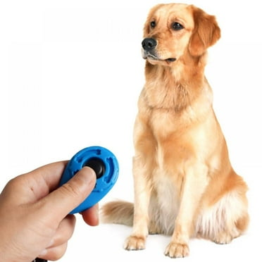 Brightkins Smarty Pooch Bone Training Clicker with Wrist Strap, Dog Toy ...