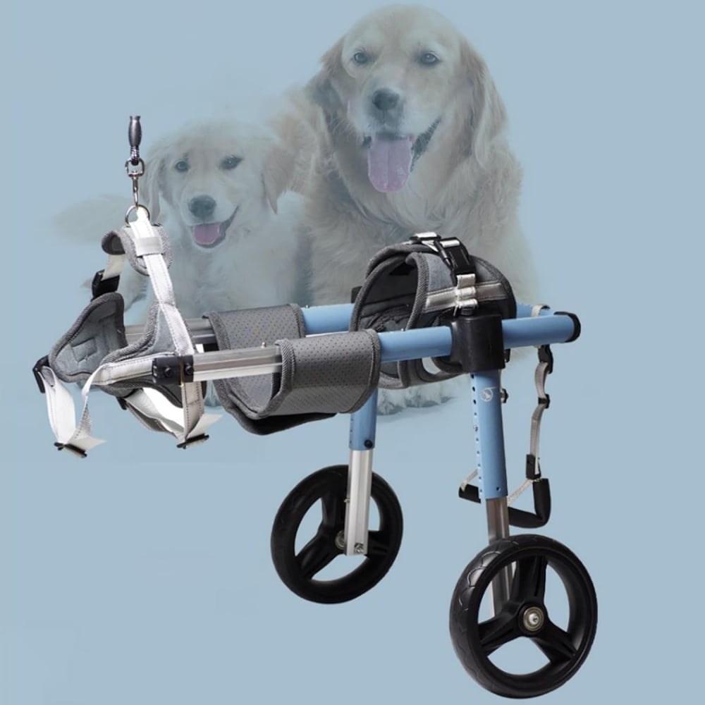 Pet Dog Rehabilitation Wheelchair, Walking Assisted Wheelchair Che ...